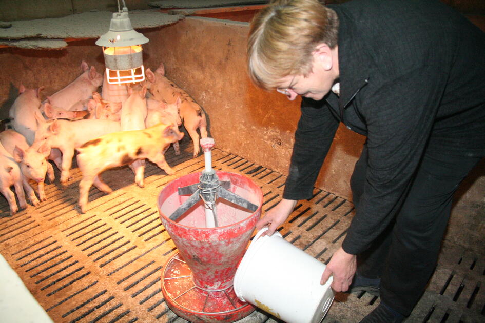 La vaccination des porcelets contre les colibacilloses efficace pour réduire l’utilisation des ...